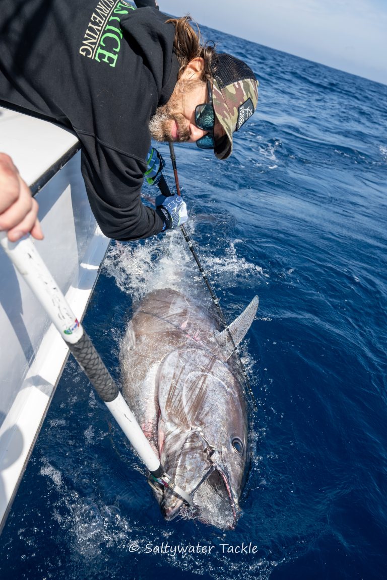 CB One C1 longlide Jig Special colors - Saltywater Tackle Inc.